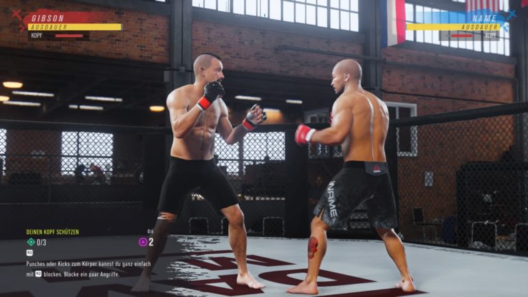 Zocken? UFC 4 (EA Sports) - Gepflegte virtuelle Kämpfe! › ZoomLab › EA ...